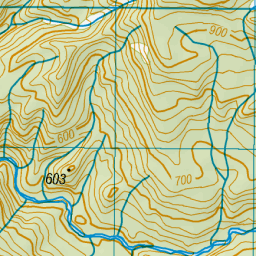 Mokihinui River North Branch, West Coast - NZ Topo Map