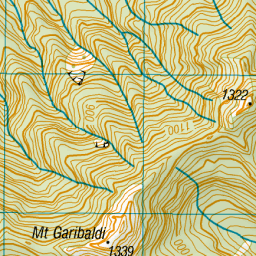 Mount Garibaldi, West Coast - NZ Topo Map