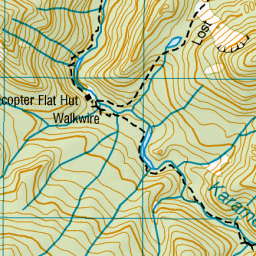 Karamea River, West Coast - NZ Topo Map