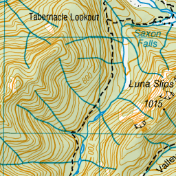 Saxon Falls, West Coast - NZ Topo Map