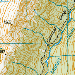 Maruia River Right Branch, West Coast - NZ Topo Map