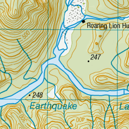 Roaring Lion Hut, West Coast - NZ Topo Map