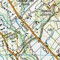 Cabbage Tree Downs, Canterbury - NZ Topo Map