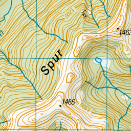 KAKAPO SPUR, West Coast - NZ Topo Map