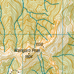 Waingaro Peak, Tasman - NZ Topo Map