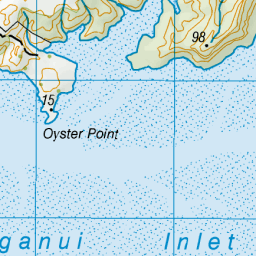 Whanganui Inlet, Tasman - NZ Topo Map
