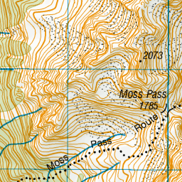 Moss Pass, Tasman - NZ Topo Map
