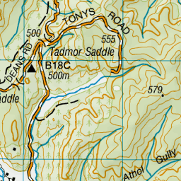 Tadmor Saddle, Tasman - NZ Topo Map