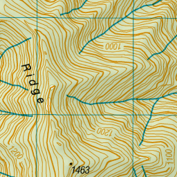 Paddy Ridge, Tasman - NZ Topo Map