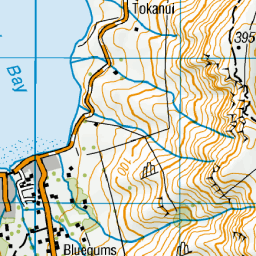 Purau Bay, Canterbury - NZ Topo Map