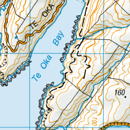 Te Oka Bay, Canterbury - NZ Topo Map