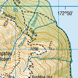 Bushline Hut, Tasman - NZ Topo Map