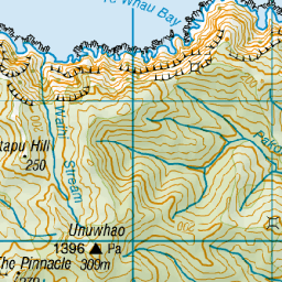 Puketapu Hill, Northland - NZ Topo Map