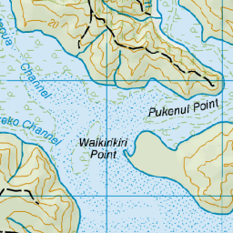 Pukenui Point, Northland - NZ Topo Map