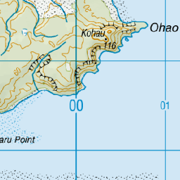 Kohau, Northland - NZ Topo Map