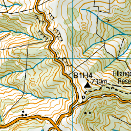 Ellangowan Reserve, Canterbury - NZ Topo Map