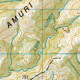 AMURI RANGE, Canterbury - NZ Topo Map