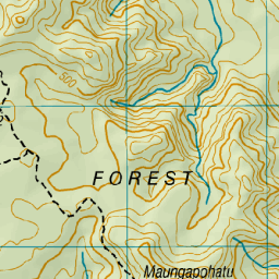 WARAWARA FOREST, Northland - NZ Topo Map