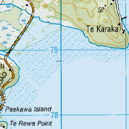 Te Karaka, Northland - NZ Topo Map