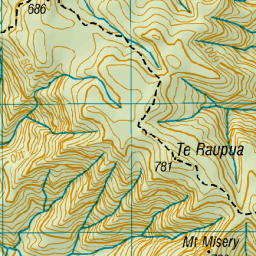 Te Raupua, Northland - NZ Topo Map