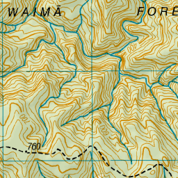 WAIMA FOREST, Northland - NZ Topo Map