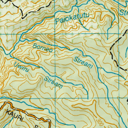 Borneo Stream, Northland - NZ Topo Map