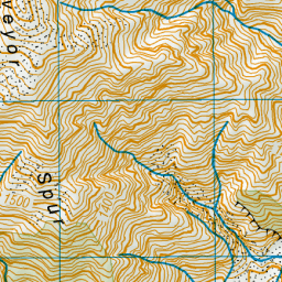 Surveyor Spur, Canterbury - NZ Topo Map