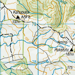 Puketutu, Northland - NZ Topo Map