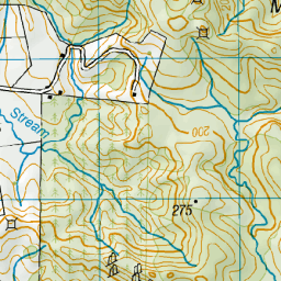 MANGONUI FOREST, Northland - NZ Topo Map