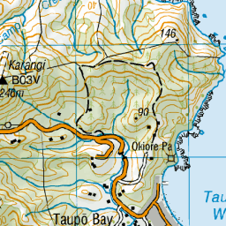 Taupo Bay, Northland - NZ Topo Map