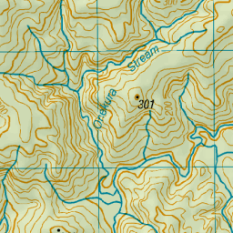 Waipapa River Track, Northland - NZ Topo Map
