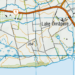 Lake Omapere, Northland - NZ Topo Map