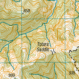 Totara Saddle, Canterbury - NZ Topo Map
