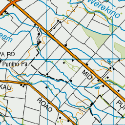 Puniho, Taranaki - NZ Topo Map
