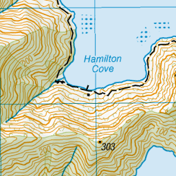 Hamilton Cove, Marlborough - NZ Topo Map
