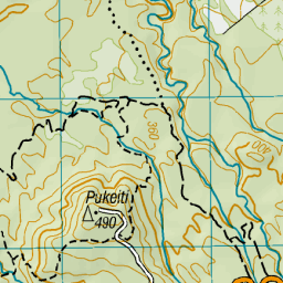 Pukeiti, Taranaki - NZ Topo Map