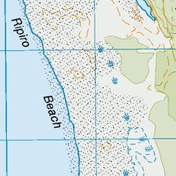 Ripiro Beach, Northland - NZ Topo Map