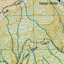 Lower Lake Dive Track, Taranaki - NZ Topo Map