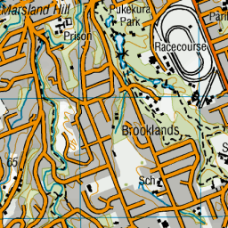Pukekura Park, Taranaki - NZ Topo Map