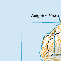 Alligator Head, Marlborough - NZ Topo Map