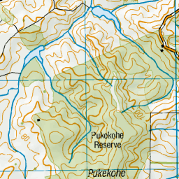 Pukekohe Reserve, Northland - NZ Topo Map