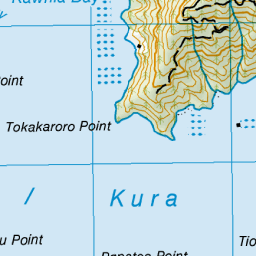 Tory Channel, Marlborough - NZ Topo Map