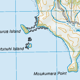 Moturoa Island, Northland - NZ Topo Map