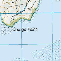 Orongo Point, Auckland - NZ Topo Map