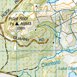 Pulpit Rock, Auckland - NZ Topo Map