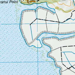Kakanui Point, Auckland - NZ Topo Map