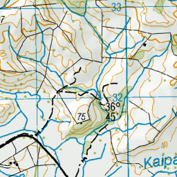 Kaipara River, Auckland - NZ Topo Map