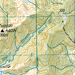 Wainui Stream, Auckland - NZ Topo Map