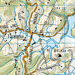 Taraunui, Northland - NZ Topo Map
