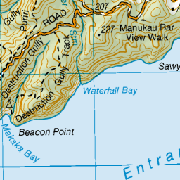 Destruction Gully Track, Auckland - NZ Topo Map